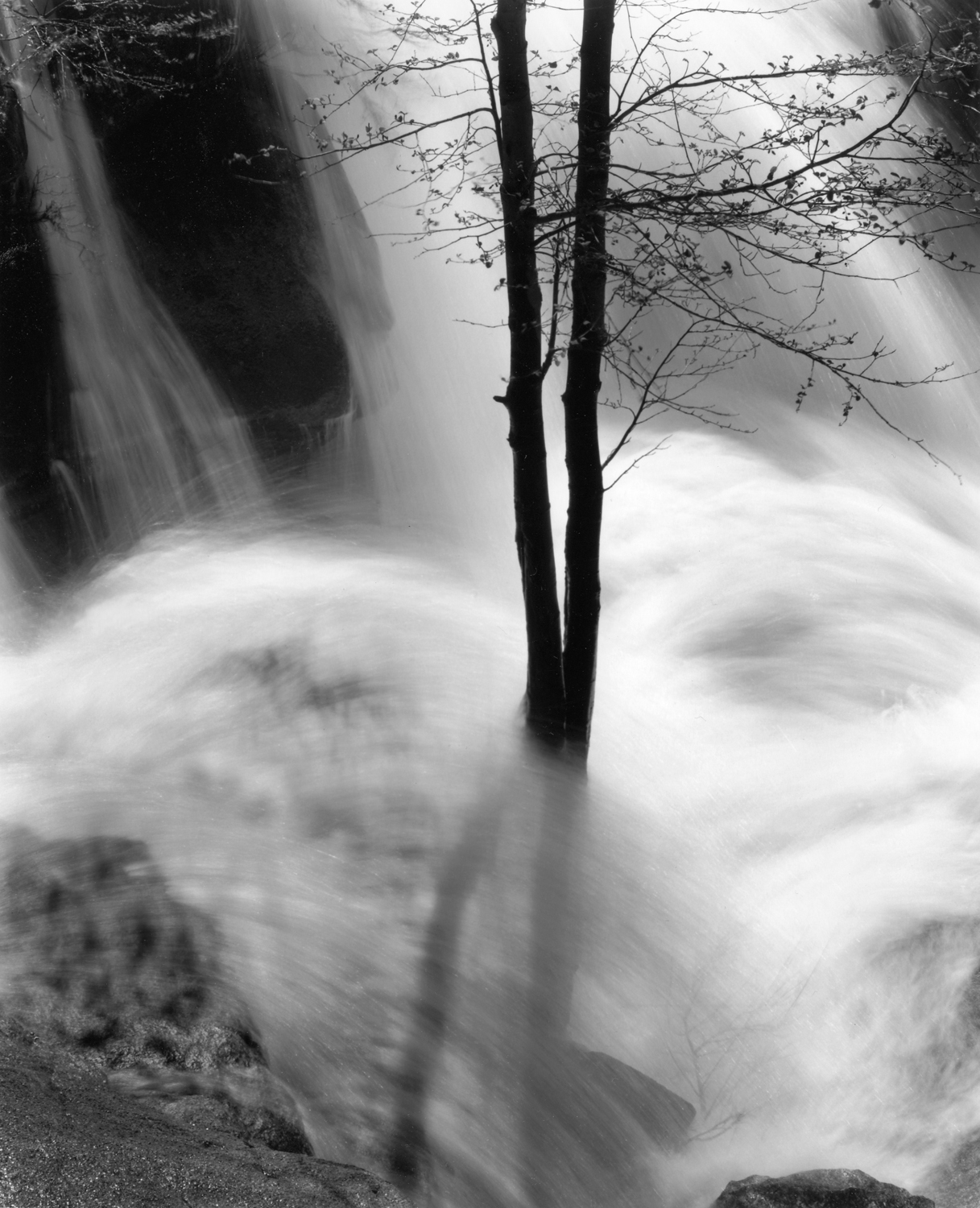 Artist Spotlight: Photographer Alan Ross | Carmel Visual Arts