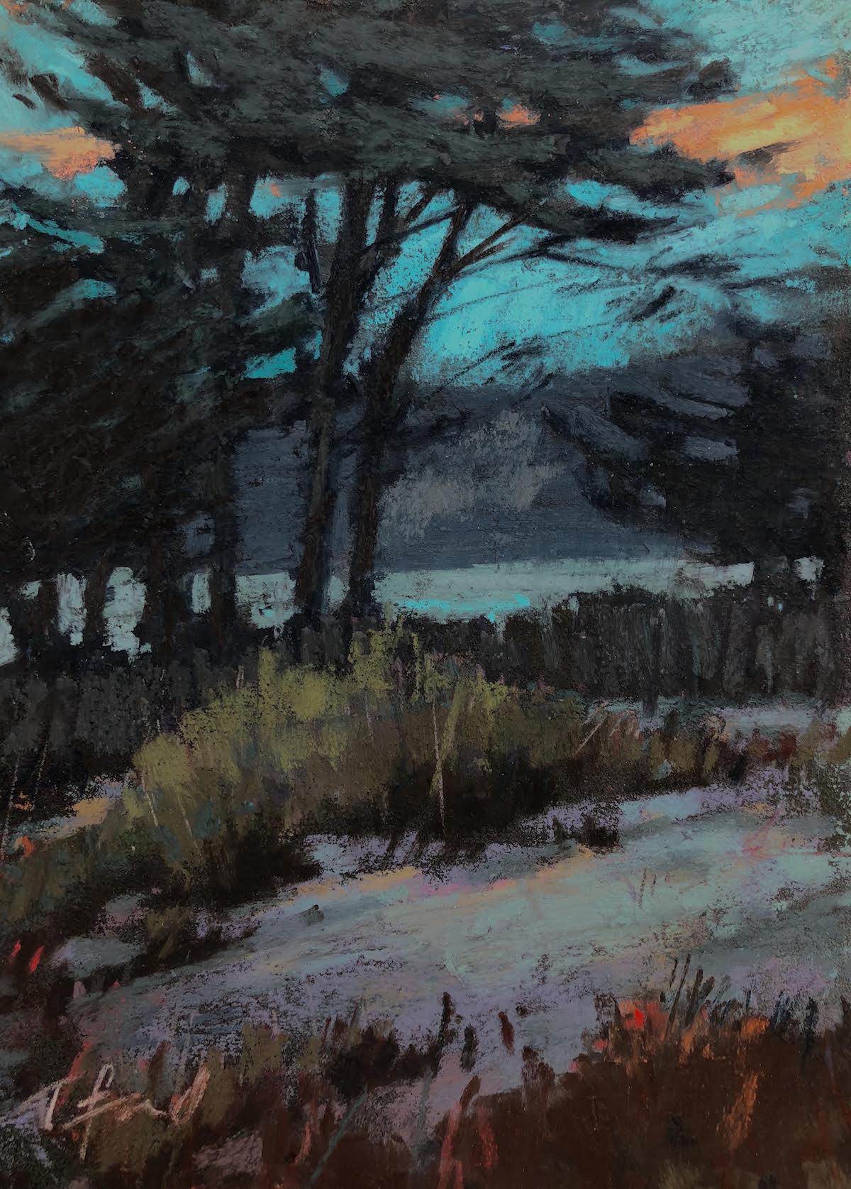 Terri Ford Pastel Workshop • Carmel Visual Arts