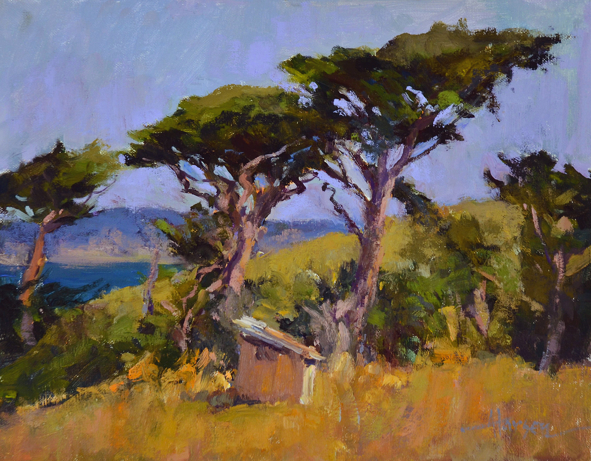 Ann Larsen • Carmel Visual Arts